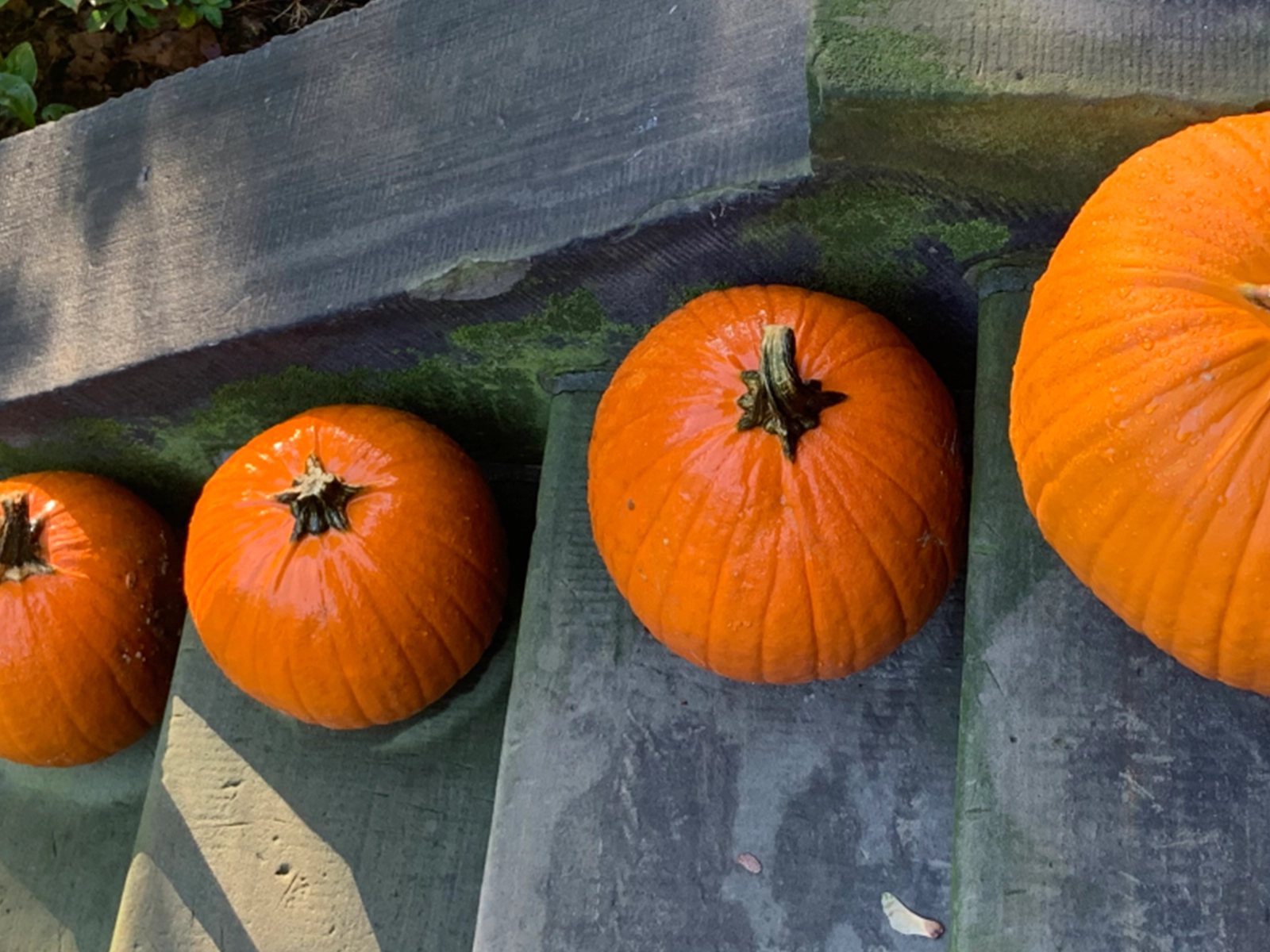 Pit Stop #8: New Hampshire University System - New England Commission ...